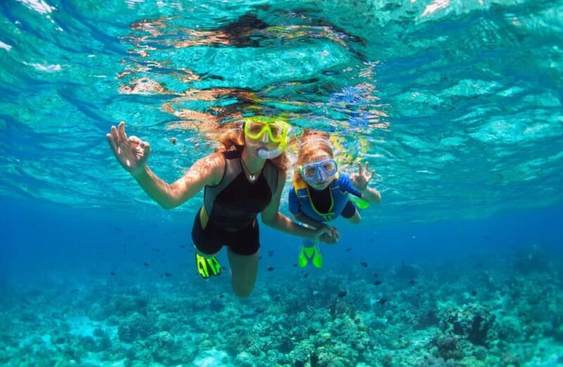 Pefkochori: Snorkeling Trip in Halkidiki-Kassndra - The Value and Practicalities
