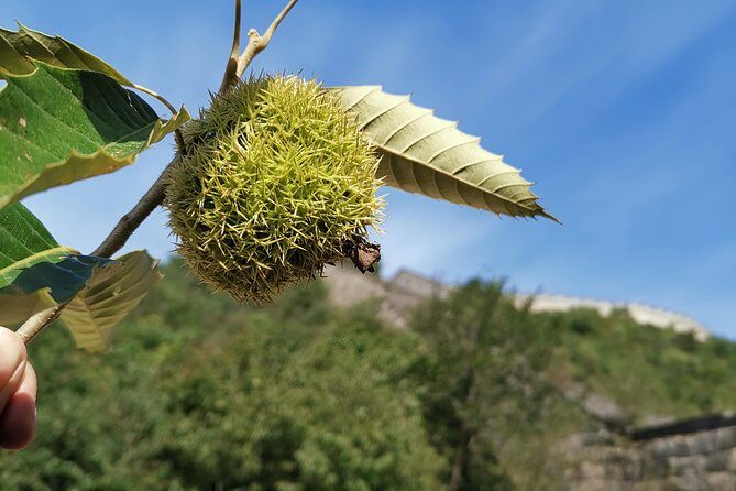 PEK Airport Layover Transfer Service to Lakeside View Huanghuacheng Great Wall - FAQ