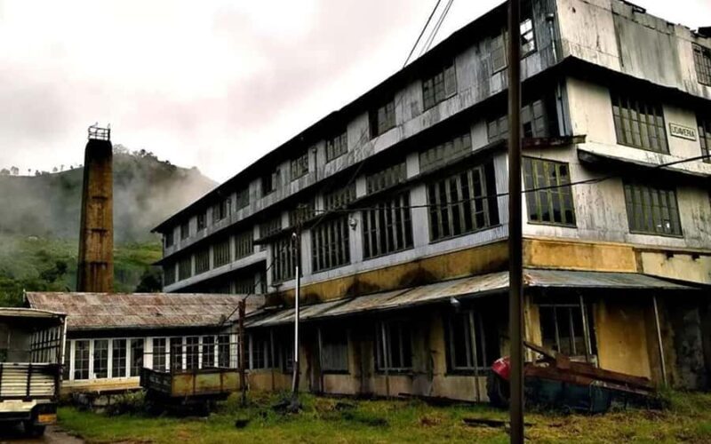 Pekoe Trail 10-16: 8-Day Guide Trail with Hotels & Transfers - Who Will Love This Tour?