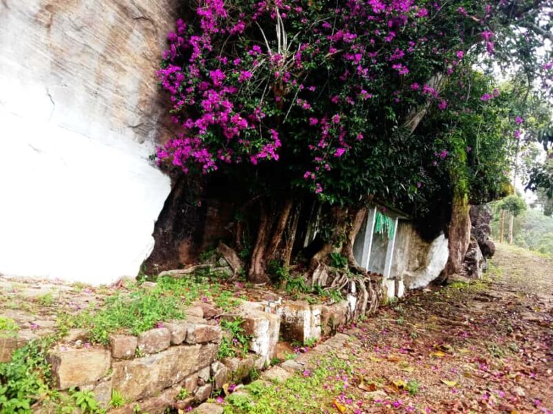 Pekoe Trail 6-9: Guided 6 Day Trail with Hotels & Transfers - FAQ