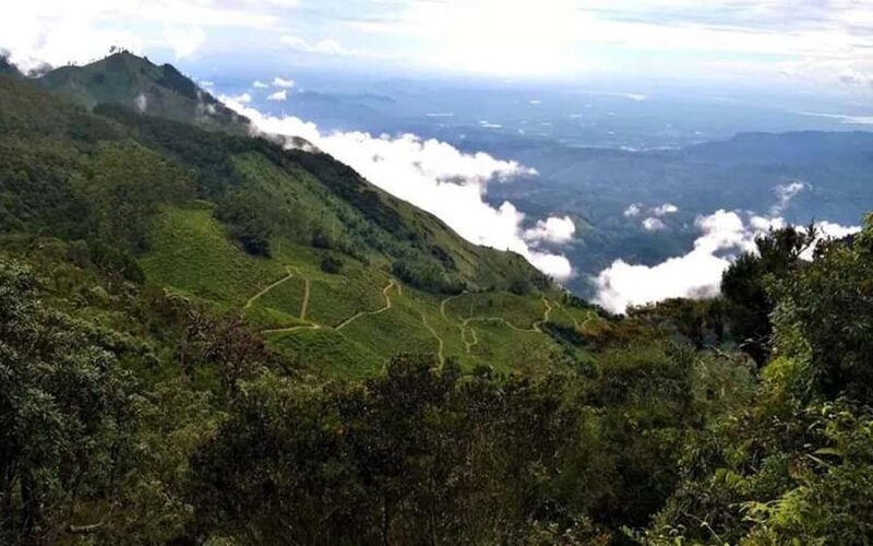 Pekoe Trail Stage 11 Guided Hike (Horton Plains-Udaweriya) - End of the Trek Near Udaweriya