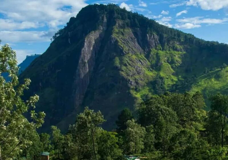 Pekoe Trail Stage 4 Guided Hike (Tawalantenne-Pundaluoya) - Logistics and Practicalities