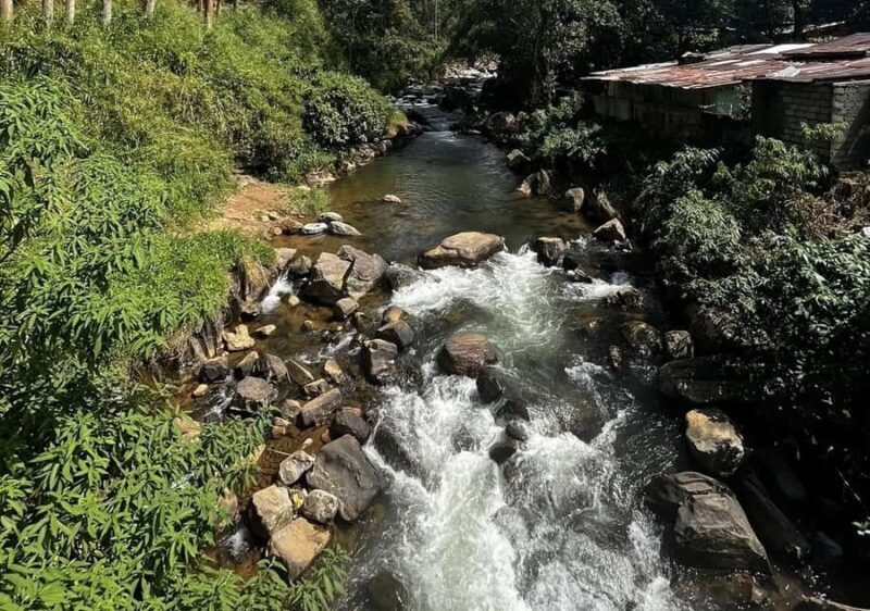 Pekoe Trail Stage 5 Guided Hike (Pundaluoya-Watagoda) - Key Points