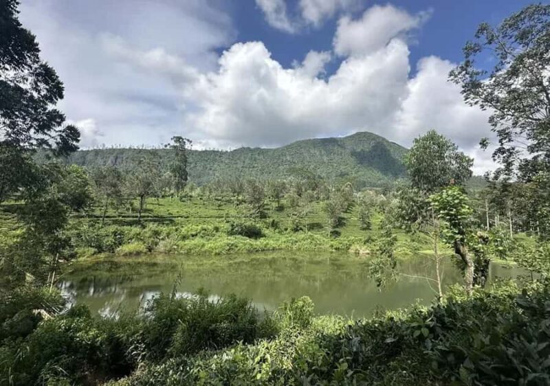 Pekoe Trail Stage 5 Guided Hike (Pundaluoya-Watagoda) - A Deep Dive into the Pekoe Trail Stage 5 Guided Hike