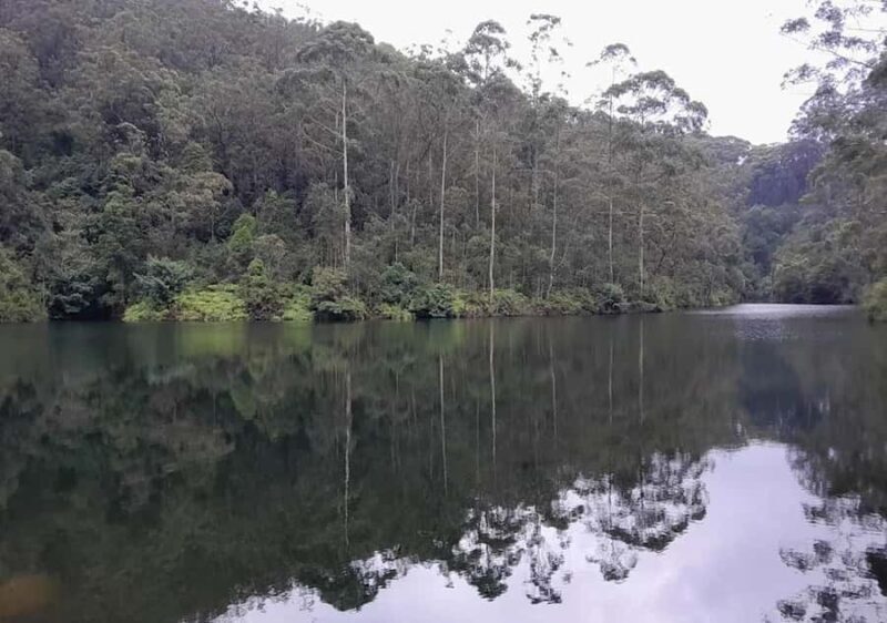 Pekoe Trail Stage 7 Guided Hike (Kotagala-Norwood) - A Walk Through Sri Lanka’s Tea Heartland