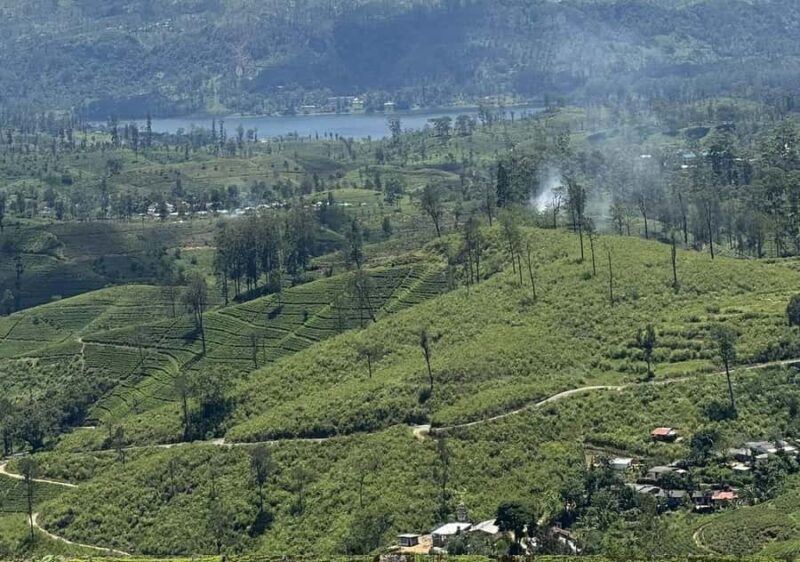 Pekoe Trail Stage 8 Guided Hike (Norwood-Bogawantalawa) - Final Thoughts