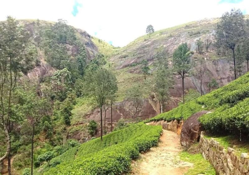 Pekoe Trail Stage 9 Guided Hike (Bogawantalawa-Dayagama) - An Honest Look at the Pekoe Trail Stage 9 Guided Hike (Bogawantalawa to Dayagama)