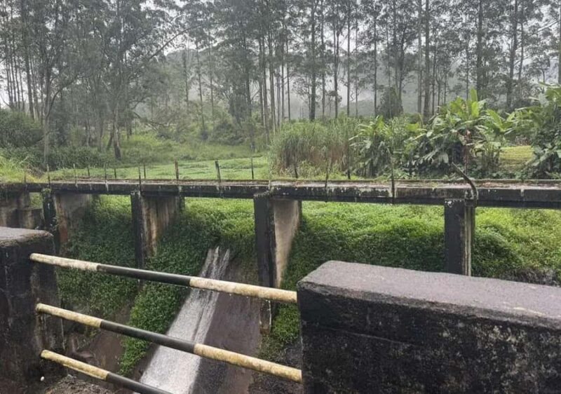 Pekoe Trail Stage 9 Guided Hike (Bogawantalawa-Dayagama) - Key Points