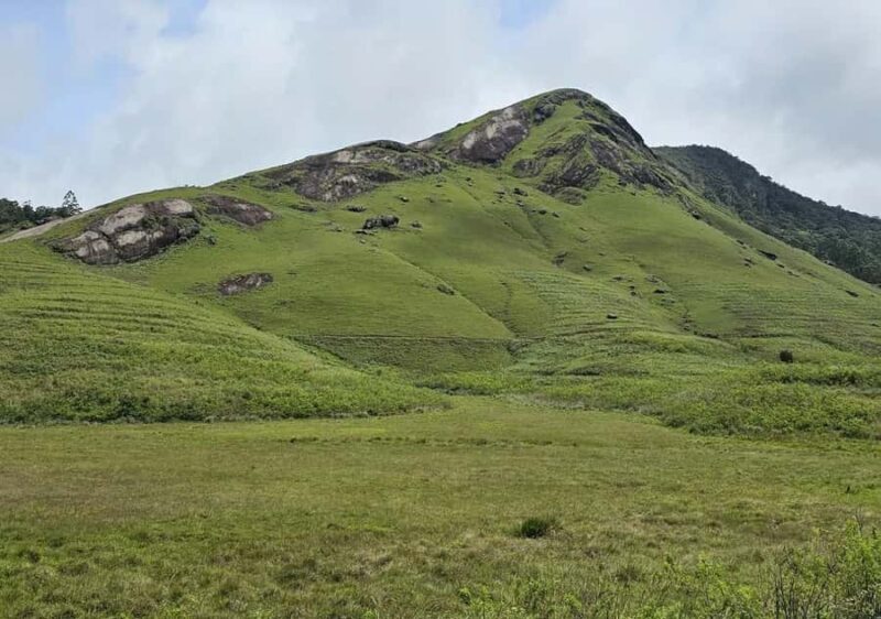 Pekoe Trail Stage 9 Guided Hike (Bogawantalawa-Dayagama) - Detailed Analysis: What Makes This Tour Worth Considering