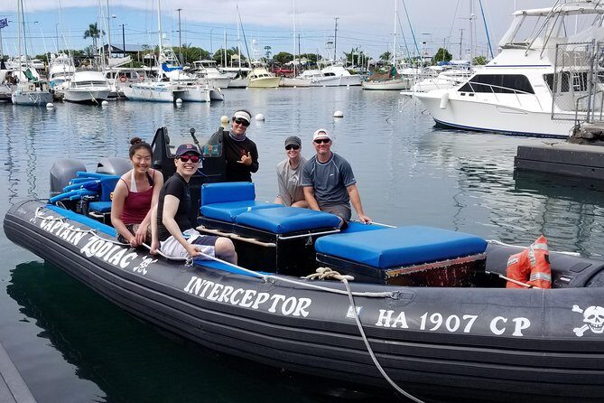 Pelagic Wildlife Excursion - What Sets It Apart?