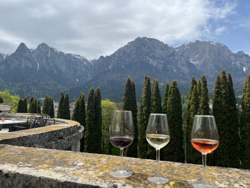 Peles & Cantacuzino Castles: Gourmet Wine & Cultural trip - Who Will Enjoy This Tour?