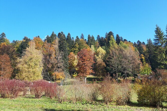 Peles Castle and optional Cantacuzino Castle from Brasov - Who Will Love This Tour?