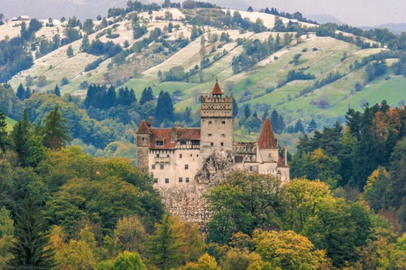 Peles, Dracula's Castles & Brasov: Private Day Trip & Pickup - Authentic Experiences & Traveler Feedback