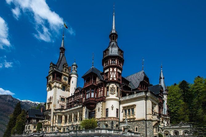 Peles Royal Castle & Wine Tasting - 9 hours - A Deep Dive into the Experience