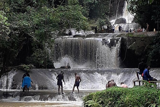 Pelican Bar, Appleton Rum Tour, YS Falls Jamaica south coast experience Montego - Final Thoughts: Is This Tour Right for You?