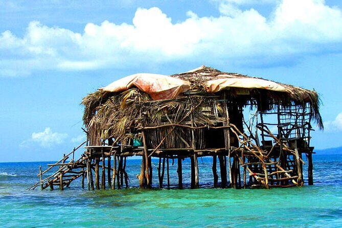 Pelican Bar & Ricks Cafe Negril Private Tour - A Deep Dive into the Tour Experience