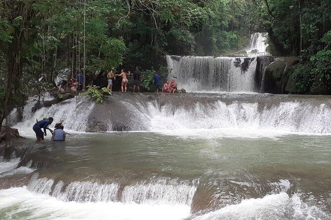 Pelican Bar south coast experience, Appleton Rum Tour and YS Falls - The Sum Up