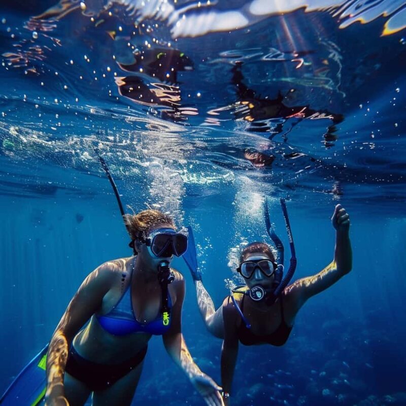 Pelican Rock: SNUBA Underwater Experience with Guide - The Itinerary in Detail