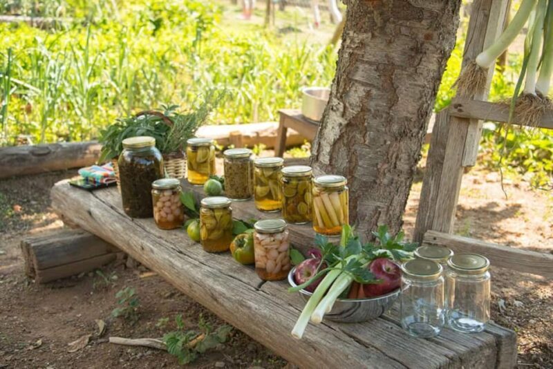 Pelion Private Nature Experience : Farm-to-Table Cooking - Cooking in the Shade of the Trees — Authentic Recipes