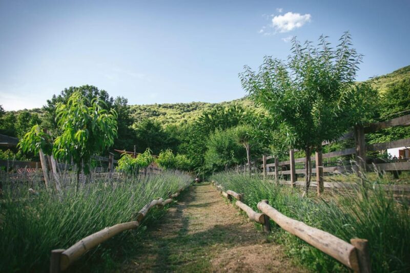 Pelion Private Nature Experience : Farm-to-Table Cooking - Final Verdict