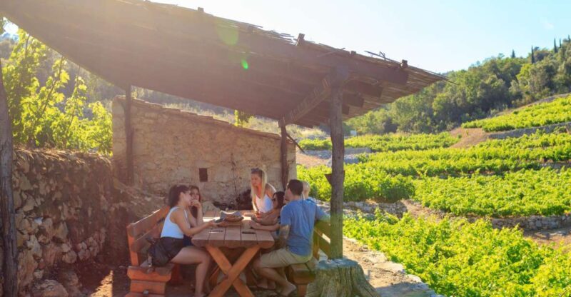 Peljeac Full-Day Wine and Food Tour from Dubrovnik - An In-Depth Look at the Peljeac Tour