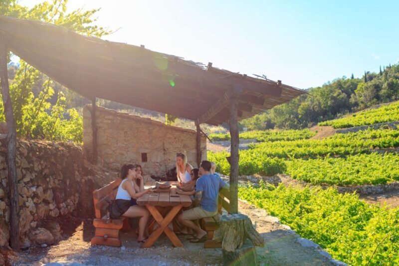 Peljeac Full-Day Wine and Food Tour from Dubrovnik - The Sum Up