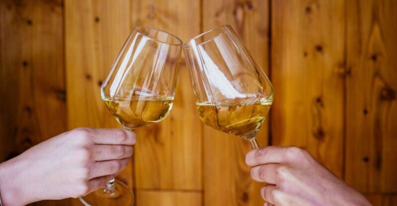 Peljeac wine tasting and local winery visit - Peljeac Wine Tasting and Local Winery Visit: An Authentic Croatian Experience