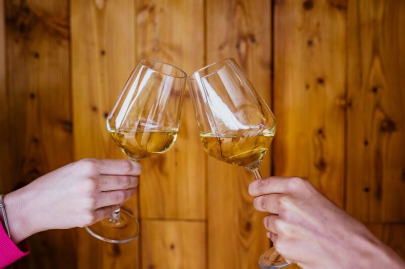 Peljeac wine tasting and local winery visit - The Sum Up