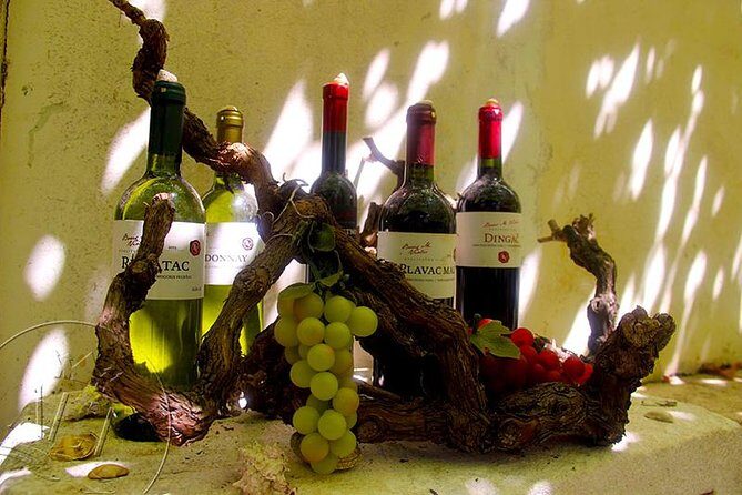 Peljesac Vineyards & Oysters - Private Day Trip from Dubrovnik-Mercedes Vehicle - Concluding Thoughts