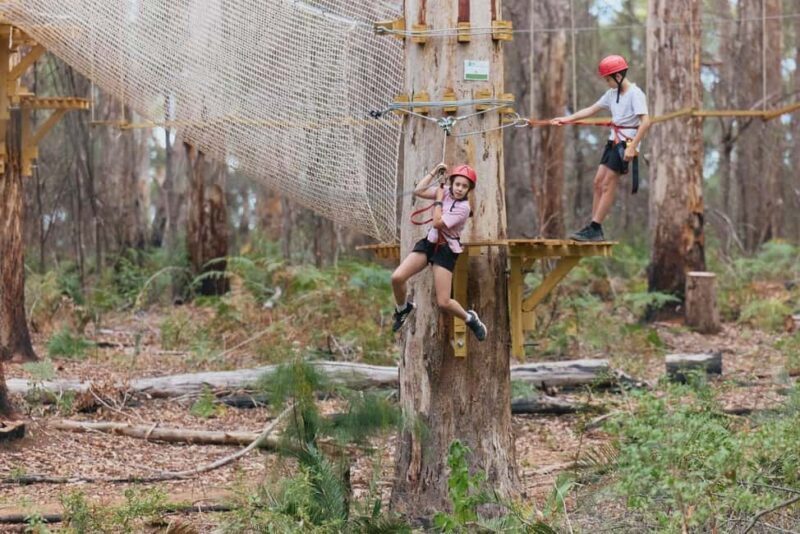 Pemberton: 1 Hour Explorer Pass with Ziplines and High Ropes - What to Expect from Your Explorer Pass Adventure