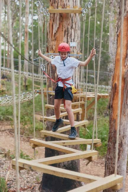 Pemberton: 1 Hour Explorer Pass with Ziplines and High Ropes - Is It Worth the Price?