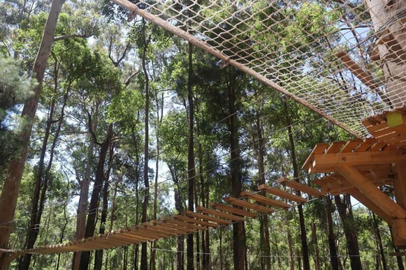 Pemberton: 1 Hour Explorer Pass with Ziplines and High Ropes - Who Will Love This Experience?