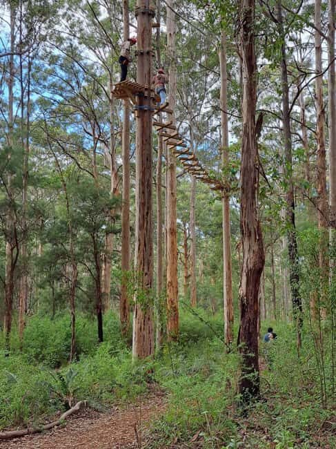 Pemberton: 2.5h Ultimate Ziplines & High Ropes Experience - An Insider’s Look at the Experience