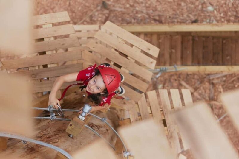 Pemberton: 2.5h Ultimate Ziplines & High Ropes Experience - A Detailed Breakdown of What to Expect