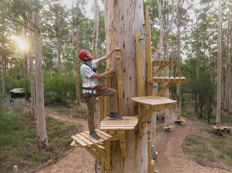 Pemberton: 2.5h Ultimate Ziplines & High Ropes Experience - Final Thoughts: Why You Should Consider It
