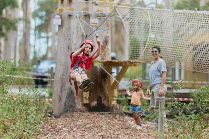 Pemberton: 40 minute Kookies Pass with Zip Lines & Low Ropes - Introduction to the Pemberton Kookies Pass