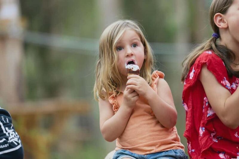 Pemberton: 40 minute Kookies Pass with Zip Lines & Low Ropes - The Scenery and Natural Environment