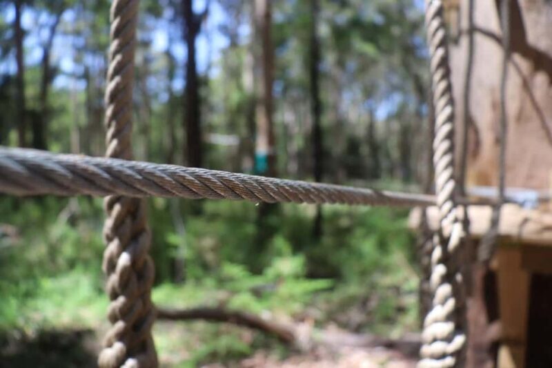 Pemberton: 40 minute Kookies Pass with Zip Lines & Low Ropes - Value and Cost Analysis