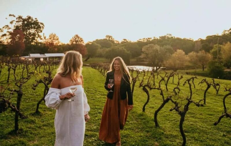 Pemberton: Ampersand Estates Wine Tasting Experience - Final Thoughts