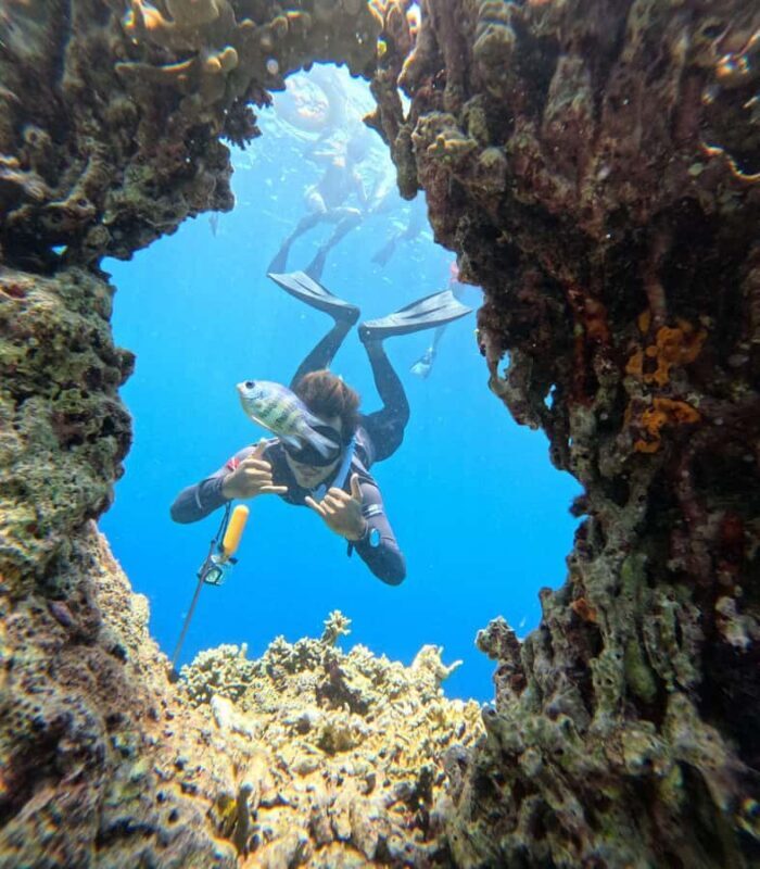 Pemuteran Bali: Menjangan Island Snorkeling Trip with Lunch - Final Thoughts