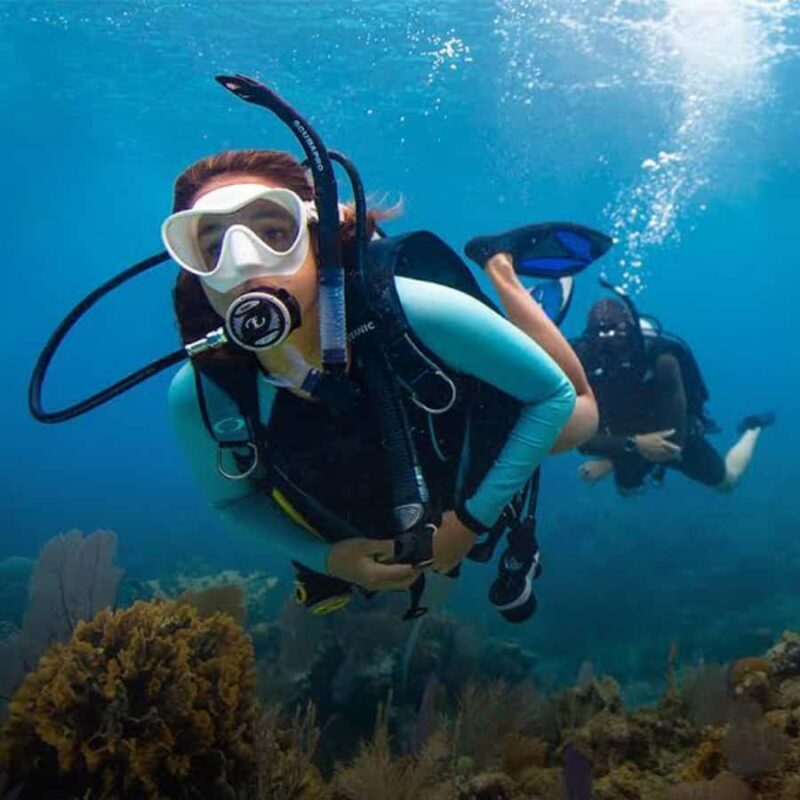 Pemuteran: Biorock Dive Master Internship - What Is the Pemuteran Biorock Dive Master Internship?