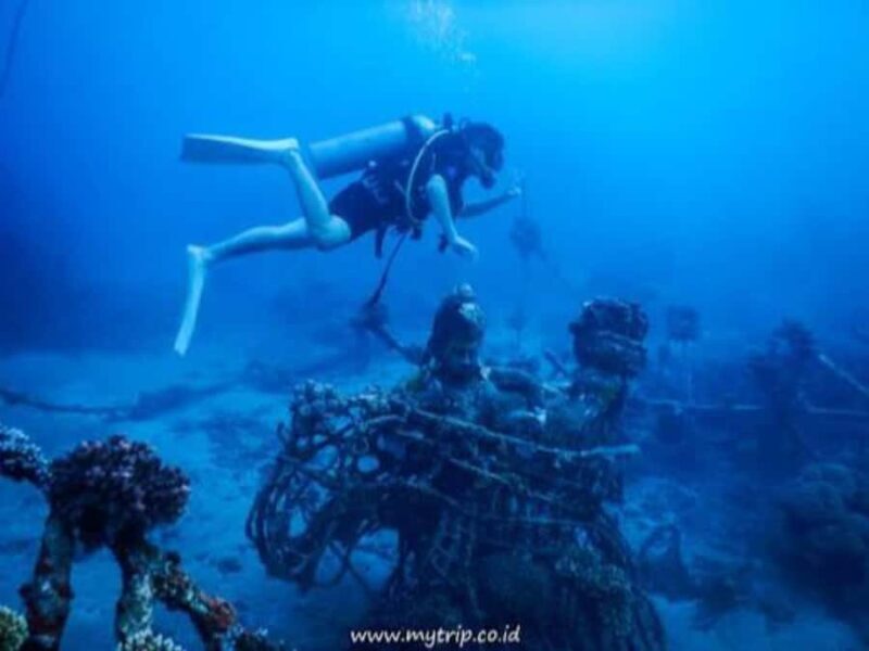 Pemuteran: Biorock Dive Master Internship - What to Expect on the Day