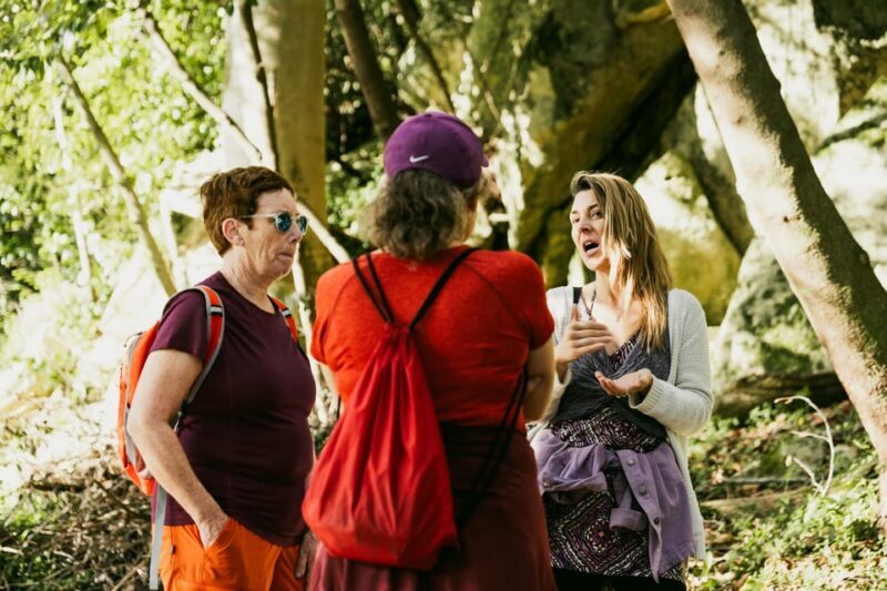 Pena Palace, Moorish Castle,Quinta ad Regaleira:Walking tour - Why This Tour Offers Great Value