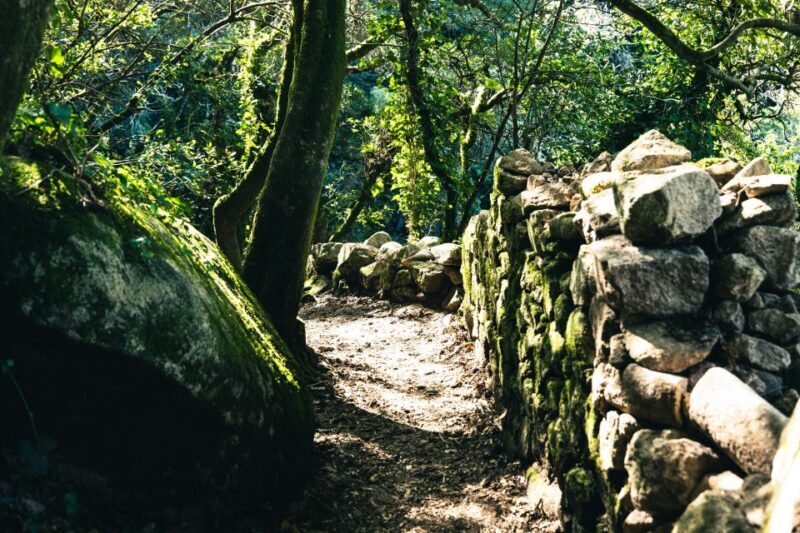 Pena Palace, Moorish Castle,Quinta ad Regaleira:Walking tour - The Sum Up: Who Should Consider This Tour?