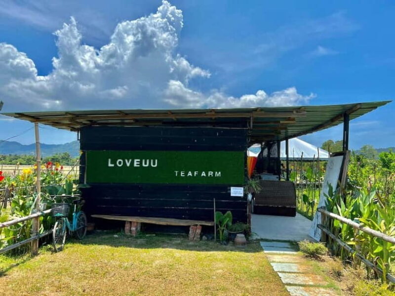Penang: ATV Ride in Balik Pulau with Snacks and Transfers - Key Points