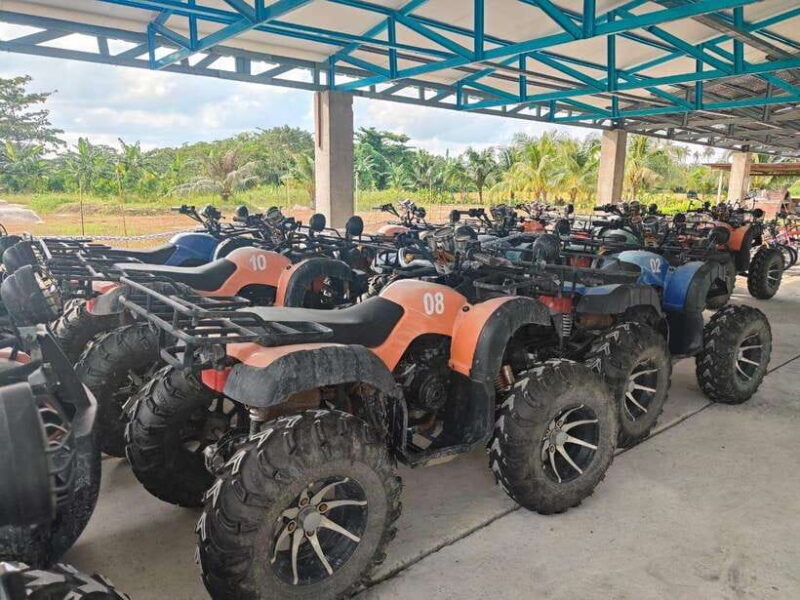 Penang: ATV Ride in Balik Pulau with Snacks and Transfers - What to Expect from the Experience