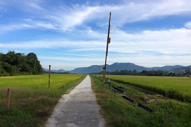 Penang Balik Pulau Countryside Morning Cycling Tour - Introduction
