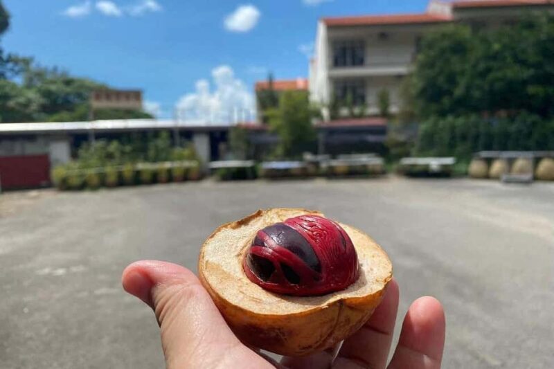 Penang: Balik Pulau Culture Experience & Village Tour - Exploring the Hidden Side of Penang