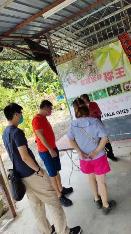 Penang: Balik Pulau Hidden Gems Tour with Hotel Pickup - Discovering Balik Pulau’s Rustic Allure