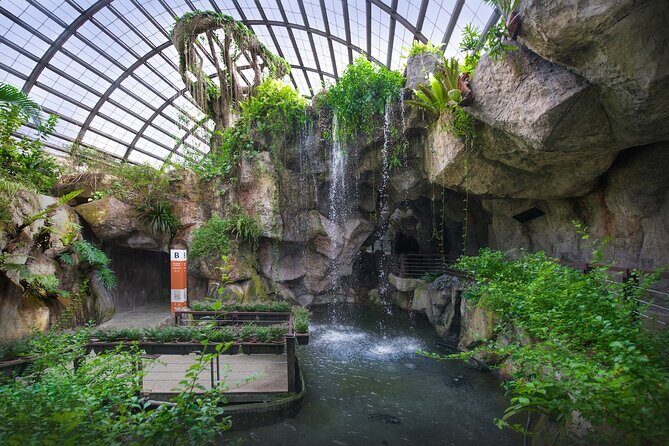 Penang City and Entopia Butterfly Farm Tour - Starting with Convenience: Pickup and Transport